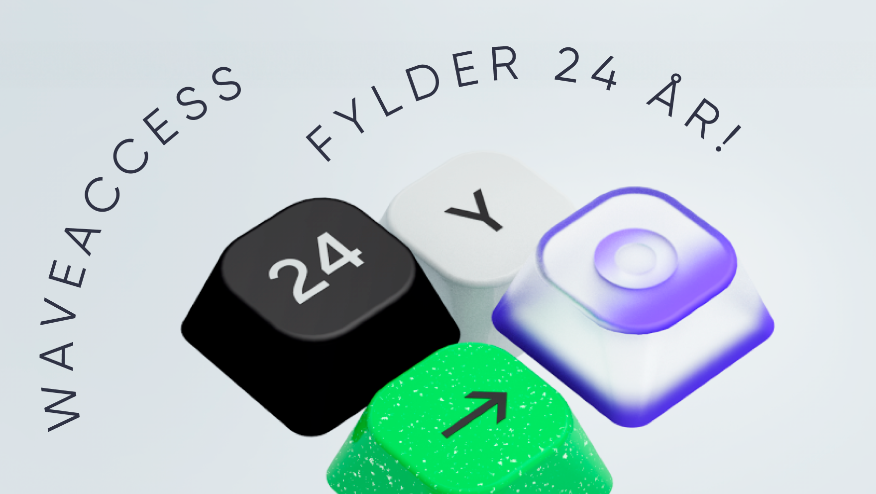 Fejring af 24 år med WaveAccess